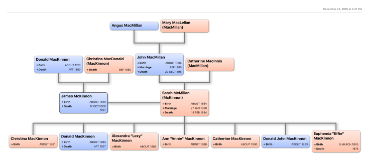 My Family Trees – noisybrain
