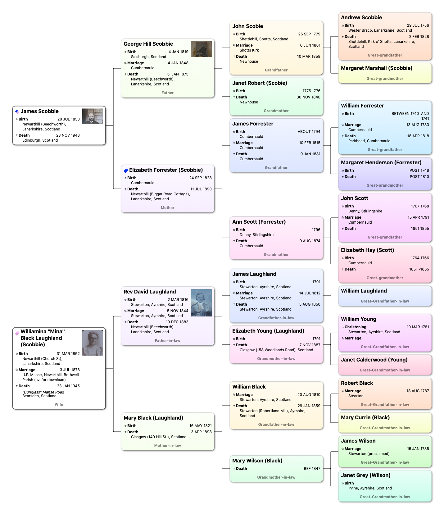 My Family Trees – noisybrain