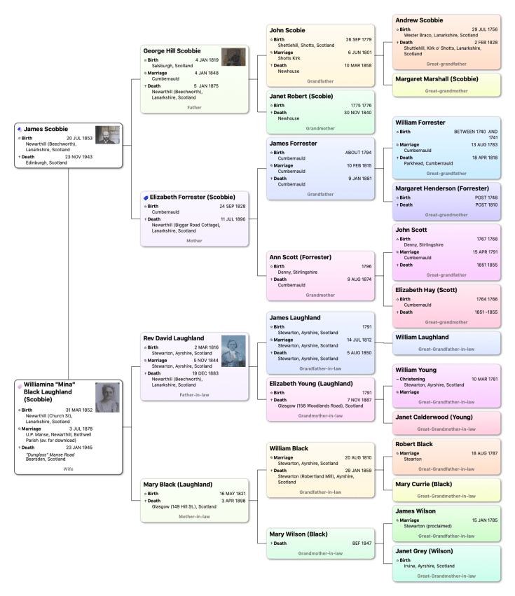 My Family Trees – noisybrain